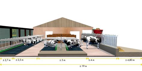 Cow Barn Plans 4 Stall