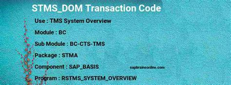 Stms Dom Sap Tcode For Tms System Overview