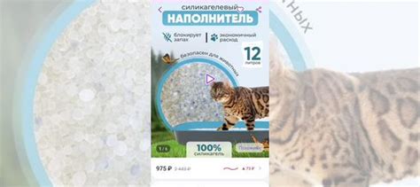 Кошачий наполнитель силикагель купить в Москве | Животные и зоотовары ...