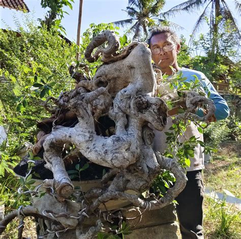 Muko Har
