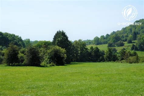 Freshwater Biome Types Location Climate Animals And Plants