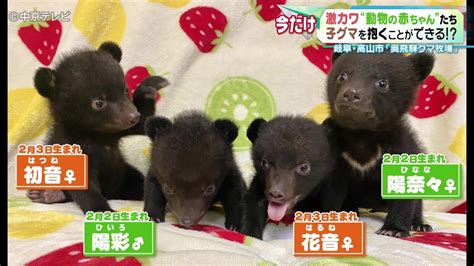 【動物の赤ちゃん】子グマを抱くことができる！？ 岐阜・高山市｢奥飛騨クマ牧場｣ Youtube