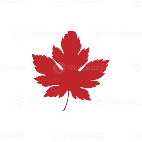 Evergreen Leaf Illustration Png Leaf Silhouette Png Leaves Png