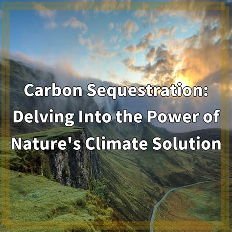 Carbon Sequestration Delving Into The Power Of Nature S Climate