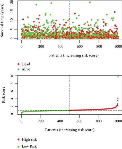Development Of A Prognostic Immune Related Risk Signature Associated
