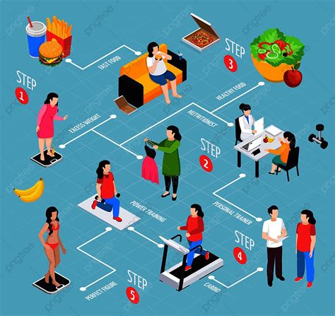 여성 그림 벡터 일러스트 레이 션의 변경 단계와 파란색 배경에 과체중 아이소 메트릭 순서도 음식 등각 정보 Png 일러스트 및 벡터 에 대한 무료 다운로드 Pngtree