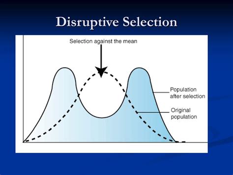 PPT Selection Pressure Speciation PowerPoint Presentation Free Download ID