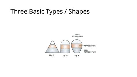 Demographic Cycle Trends And Variables Pptx