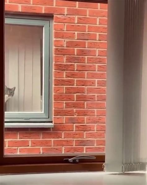 Nosey Neighbour Problems Tumbex