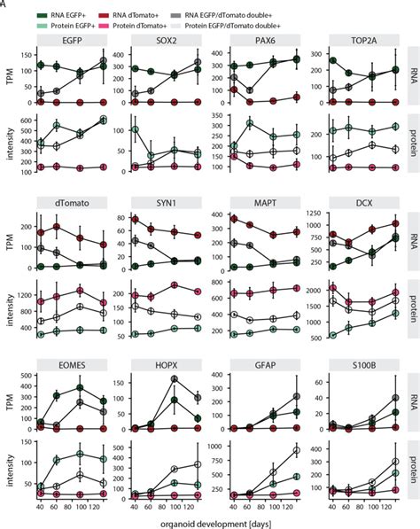 Integrated Transcriptome And Proteome Analysis Reveals