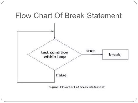 C Decision Making And Looping Pptx Programming Languages Computing