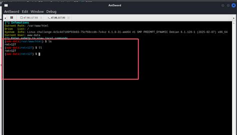 web进阶 php（bypass disable function ld preload 蚁剑插件绕过 手工写代码绕过 sun010 博客园