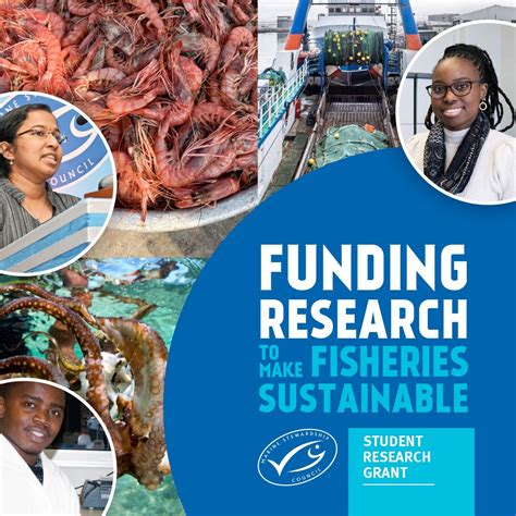 Worldfisheriesday Oceanstewardshipfund Mscecolabel