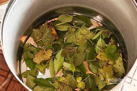 Моченые яблоки в бочке пошаговый рецепт с фото на Повар ру