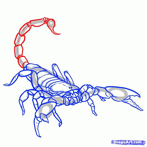 Image From Imgs Steps Dragoart Com How To Draw Scorpions Step 12 1 000000127403 5 Gif