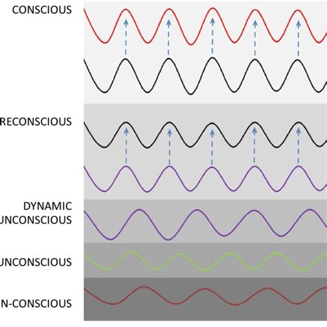 A Schematic Representation Of Neural Synchronization Of Conscious And Download Scientific