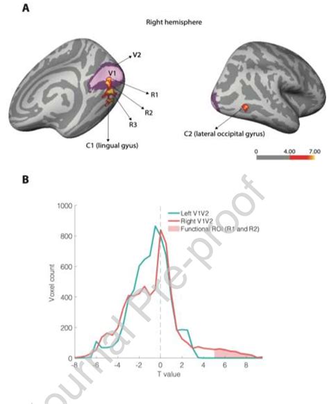 Figure 2 From Fmri Signatures Of Perceptual Echoes In Early Visual