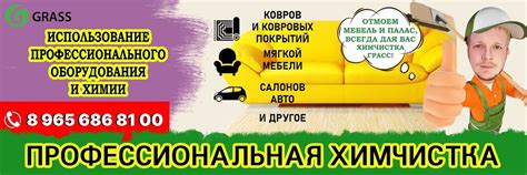 GRASS™ | Химчистка ковров, ковровых покрытий, мягкой мебели, стульев ...