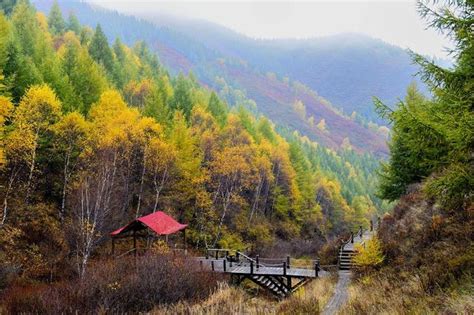 行走中的記錄 蘇木山森林公園 險峻的山勢茂密的森林紛呈的花卉 每日頭條