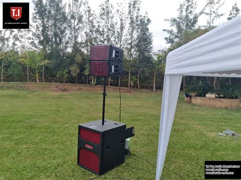 Pro 110 Pro 118p Single 10 Inch Line Array Sound System Acitive Bass