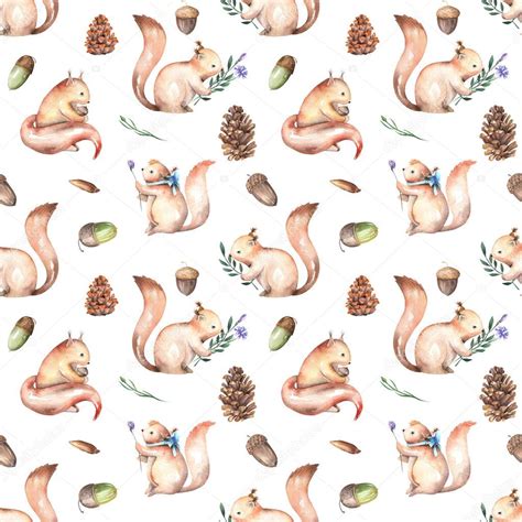 Patr N Sin Costuras Con Ardillas De Acuarela Conos De Abeto Y Bellotas De Roble 2024