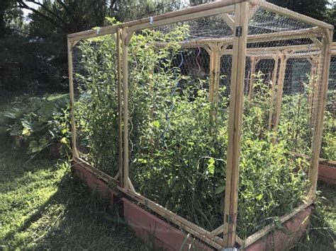 Squirrel Proof Garden Fencing Fasci Garden