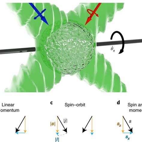Transverse Angular Momentum Transfer To A Vaterite Particle And The Download Scientific Diagram