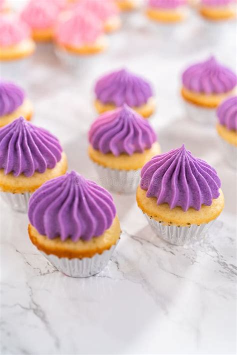 Mini Vanilla Cupcakes With Pink Buttercream Frosting Stock Image