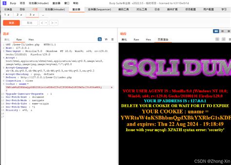 sqli labs通关攻略【21 25关】 sqli labs第22关 csdn博客