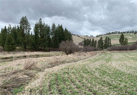 Riparian Buffers Coming To Watershed Wheat Life