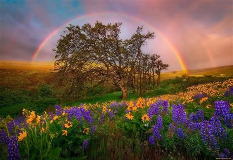 Обои Природа Радуга, обои для рабочего стола, фотографии природа ...