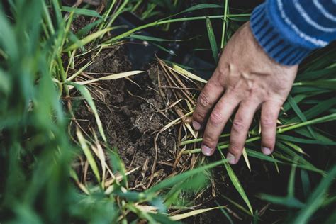 Wwf Awards Farmers Taking Action To Curb Nutrient Runoff To The Baltic