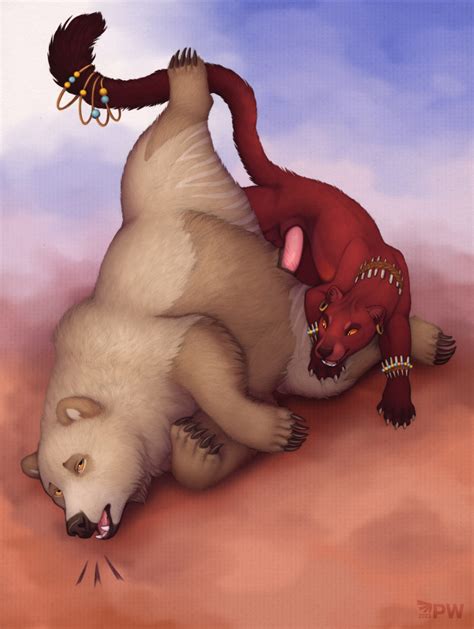 Rule 34 2023 Animal Genitalia Animal Penis Animal Pussy Bear Derago