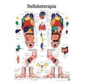 Rüdiger Anatomie Refleksterapia stopy Plansze anatomiczne medipment pl
