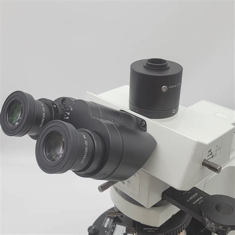 How Do I Determine The Magnification Of My Microscope Microscope Marketplace