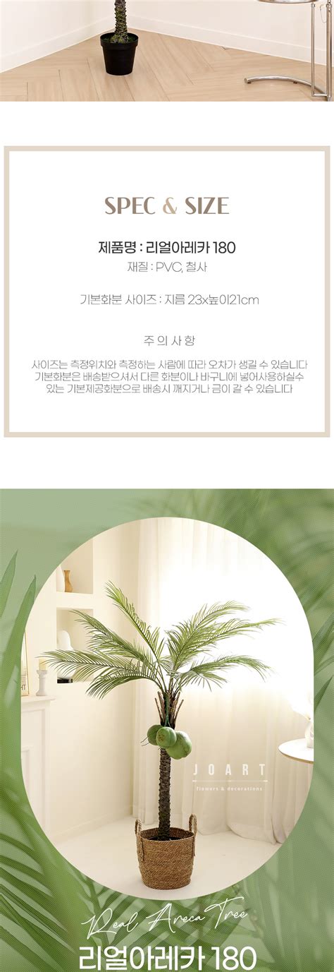 [조아트]인조나무 조화나무 야자수 화분 식물 장식 리얼아레카 180cm