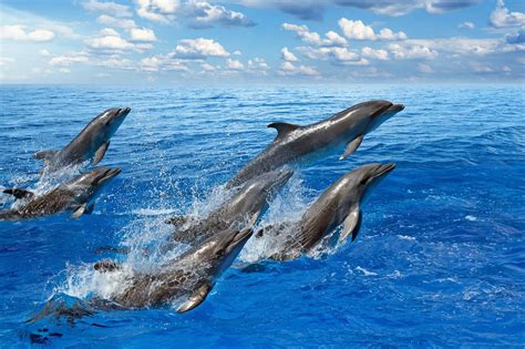 Optimizing Materialized Views In Postgresql Best Practices For