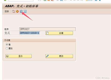 【sap Abap 创建、修改、删除变式】sap创建变式 Csdn博客