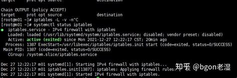 Iptables Iptables安装使用加模块 《linux 系统笔记》 极客文档
