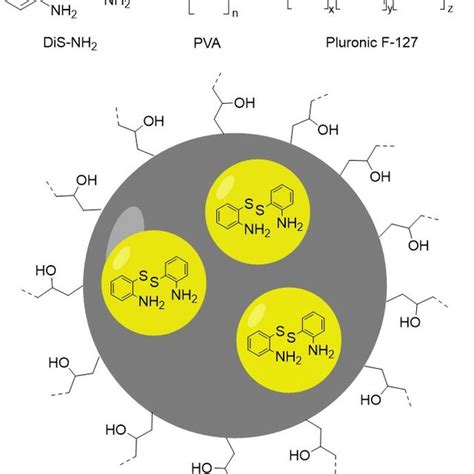 Structure Of The Bioactive Compound Dis Nh2 The Encapsulating