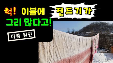 이불에 집 먼지 진드기가 득실~헉 비염원인 해결방법 진드기 진드기 퇴치방법 이불널기 이불 일광소독