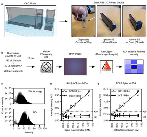 Detection Of Sars Cov 2 S Protein Using S Bat And A Cell Phone A Download Scientific Diagram