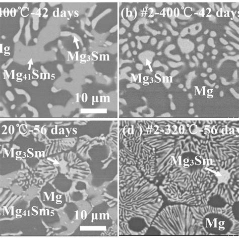Displays The Microstructures Of Alloys 1 2 Annealed At 400 And 320