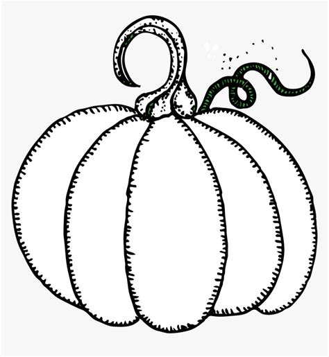 Pumpkin Outline Clip Art Pumpkin Clip Art Hd Png Download Kindpng