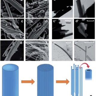SEM Left Scale Bar Equal To 500 Nm And TEM Right Scale Bars 1 Mm