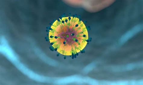 Traits Of Immune System Explain Mens Susceptibility To Obesity