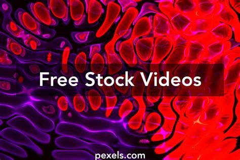 Cell Transformation Videos Download The Best Free 4k Stock Video