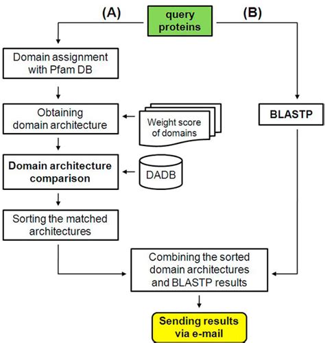 Workflow For The Identification Of Protein Homology The Pipeline