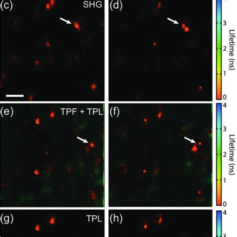 Multimodal Superresolution Images Without Left Column And With Right