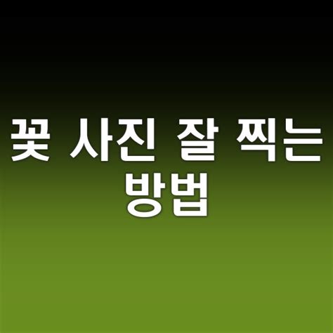 꽃 사진 잘 찍는 방법